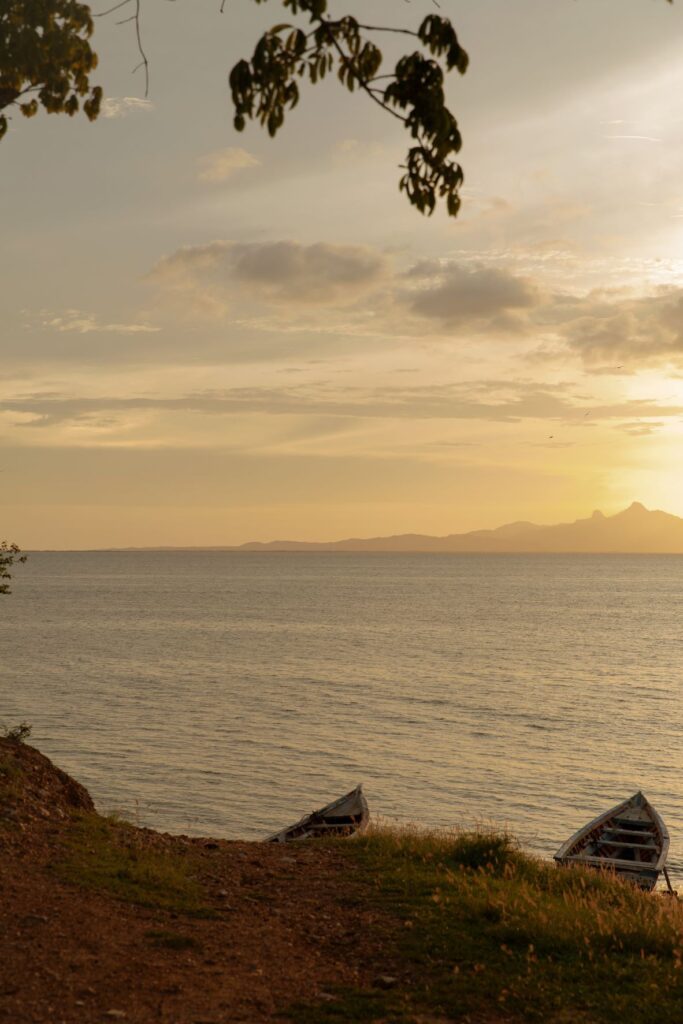 Esenciales TARBAY para estas vacaciones - Sitara Magazine
